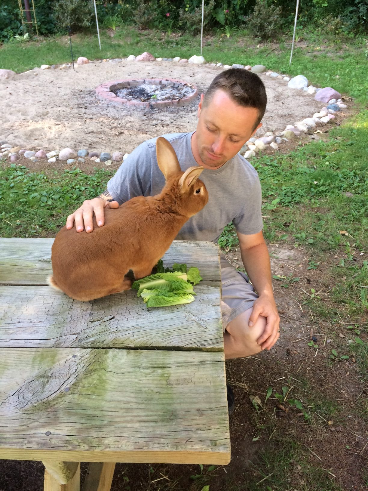 MEET THE TEAM - The Rabbitry Center