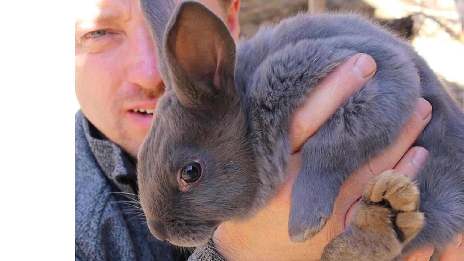 RABBITS - The Rabbitry Center