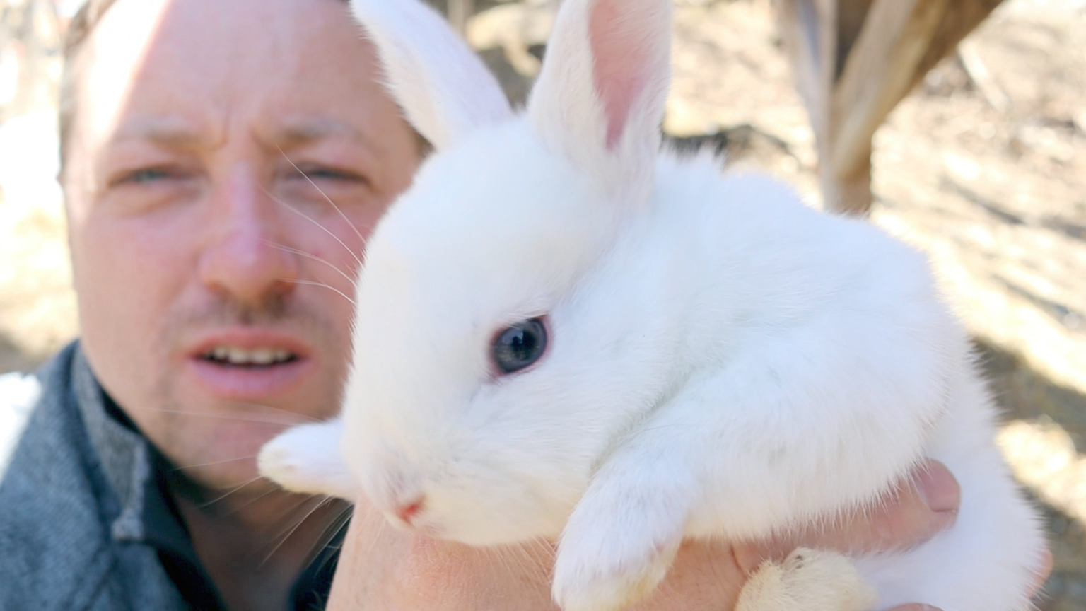 RABBITS - The Rabbitry Center