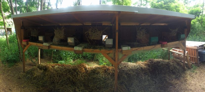 HELPFUL TIPS - The Rabbitry Center