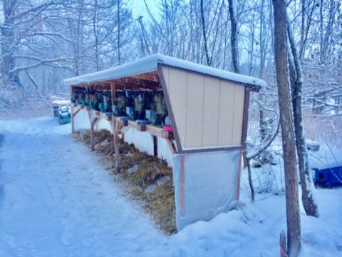 BUILD PLANS - The Rabbitry Center