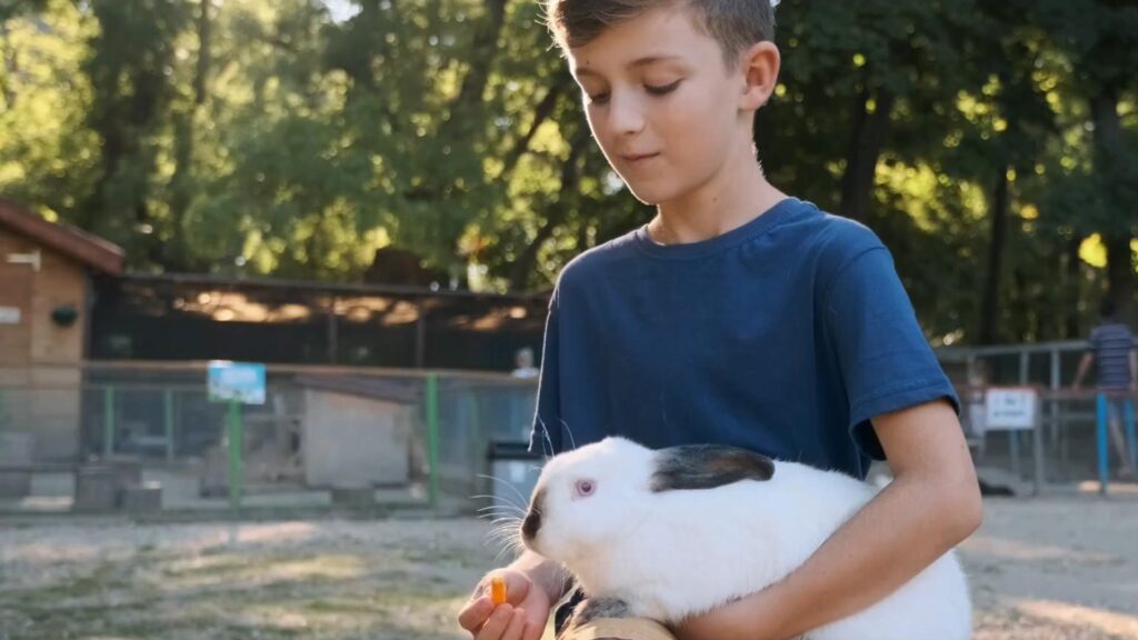 DO RABBITS MAKE A GOOD PET? - The Rabbitry Center