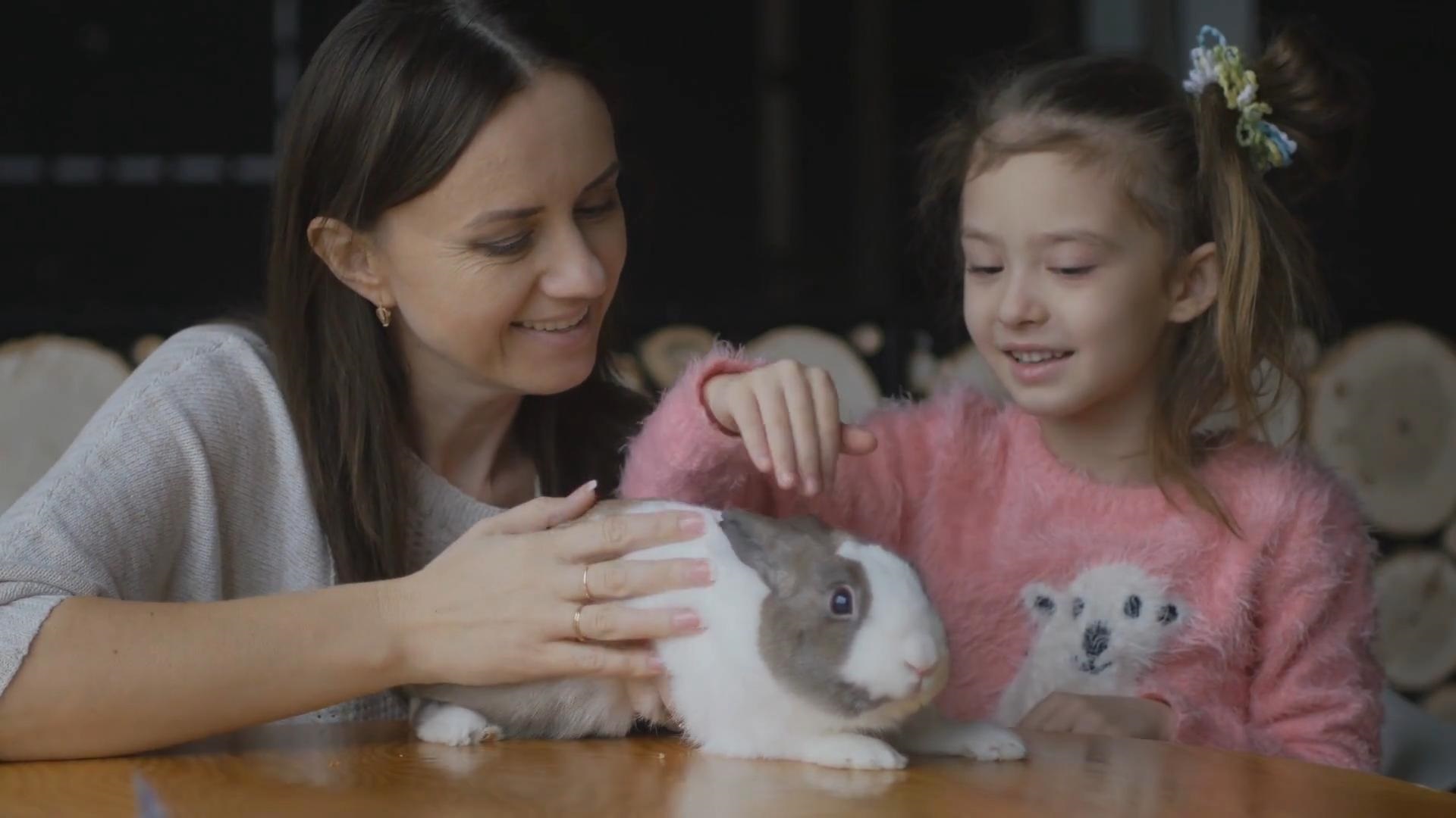 DO RABBITS MAKE A GOOD PET? - The Rabbitry Center