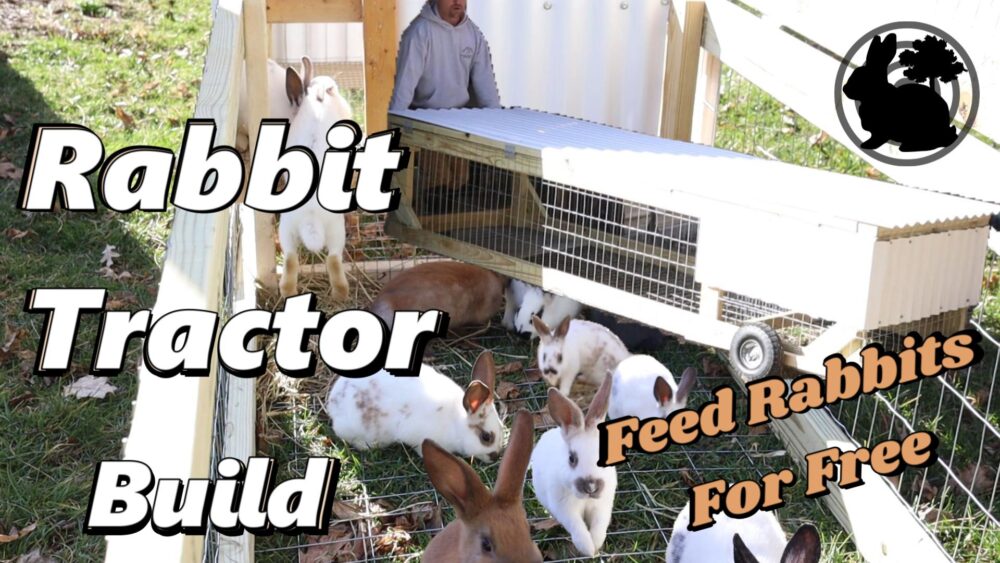 How To Build A Rabbit Tractor With Wheels - The Rabbitry Center
