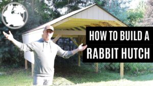 BUILD PLANS - The Rabbitry Center
