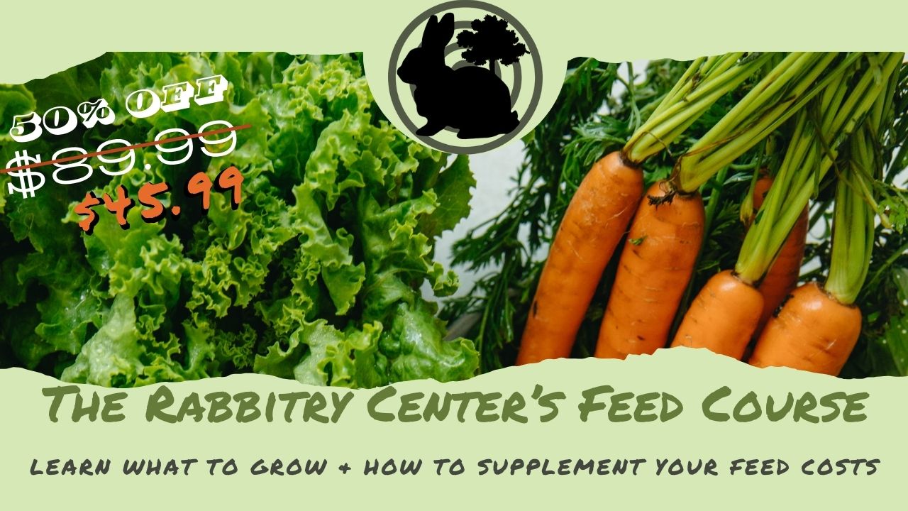 Rabbit Courses - The Rabbitry Center