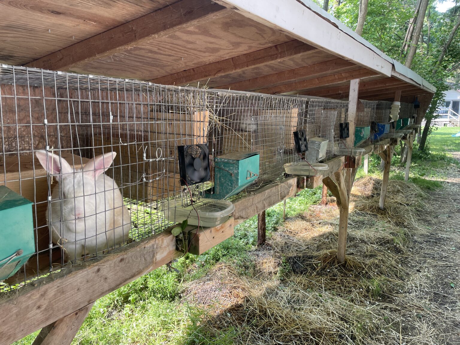 BUILD PLANS - The Rabbitry Center