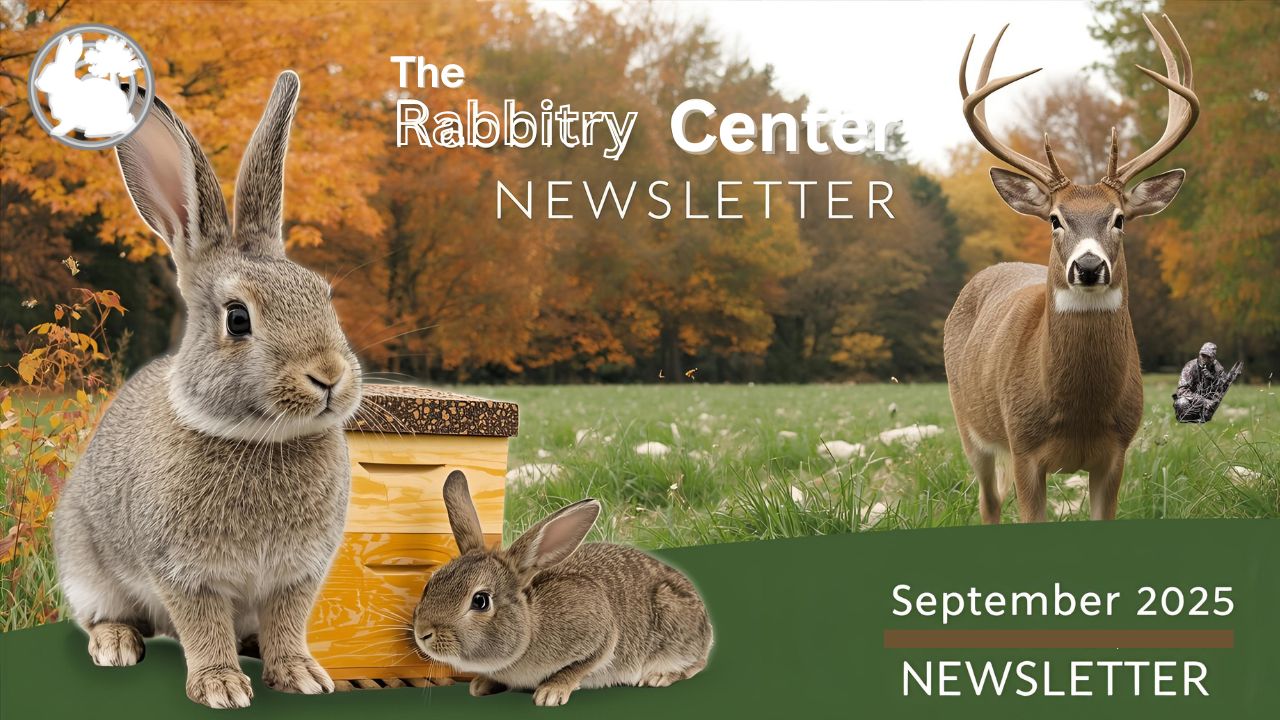 🐇🐝🎯Fall Prep & Harvest: Rabbits, Bees, Garden & Hunting – September ...