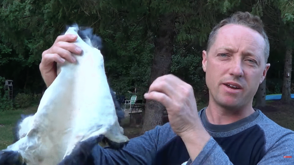 How to Tan Rabbit Hides the Simple Way (Beginner-Friendly Guide) - The ...